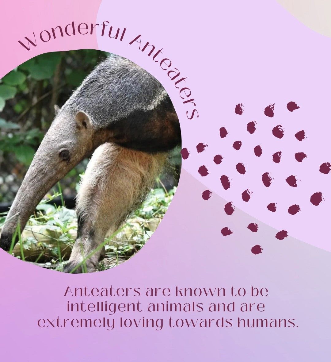 Happy Friday! Wonderful Anteaters! 🐜🐜 – Wonderful World